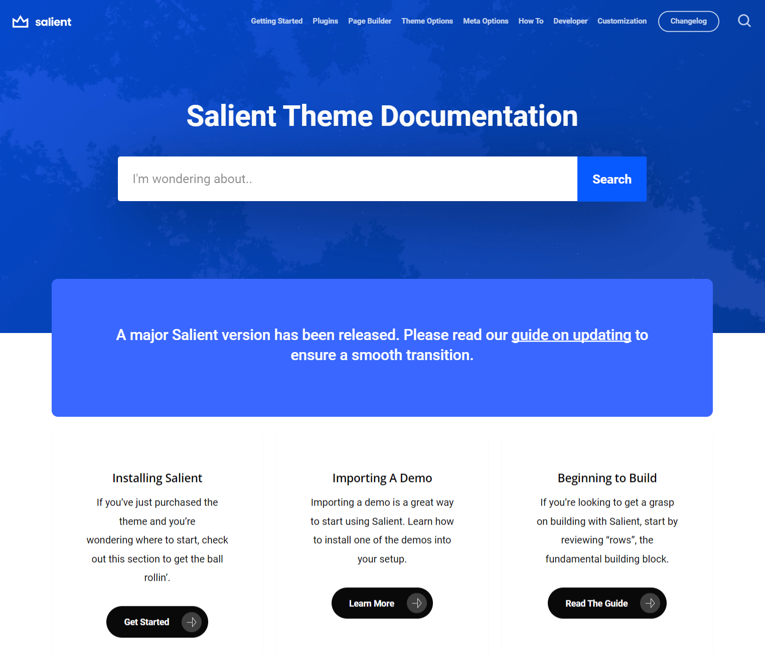 Salient Theme Review: Your Creative Website Builder (2025)